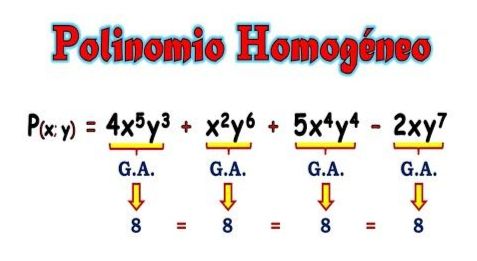 Clasificacion de polinomios