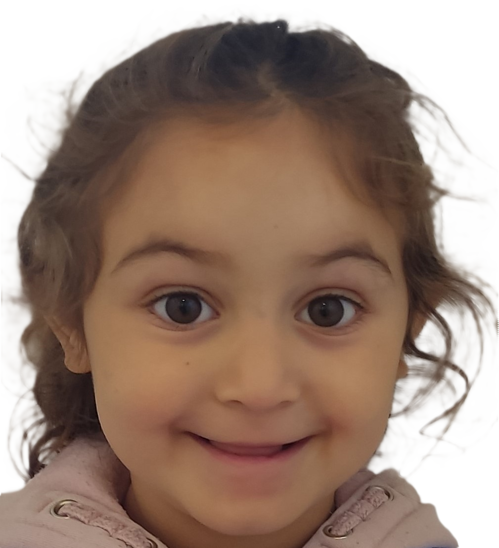 CLASE VIRTUAL | Genially