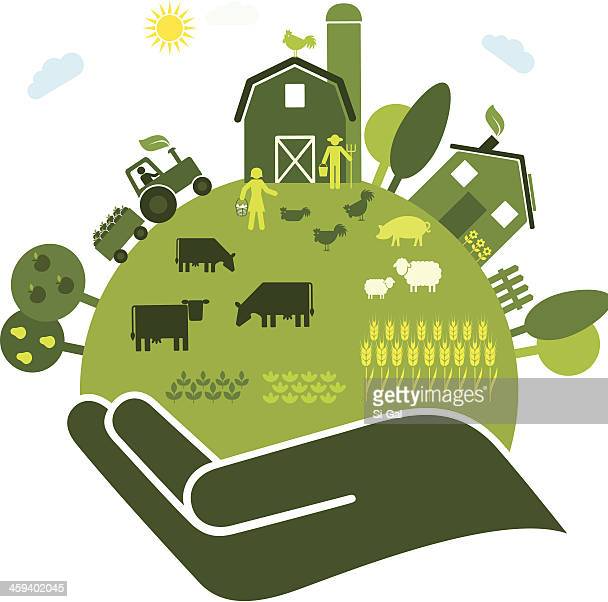 Image interactive agriculture durable et équitable