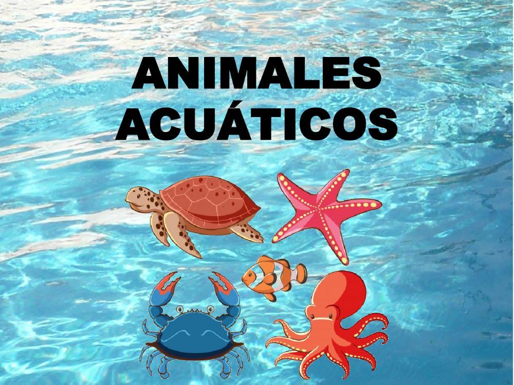 Clasificación de los animales según su hábitat | Genially