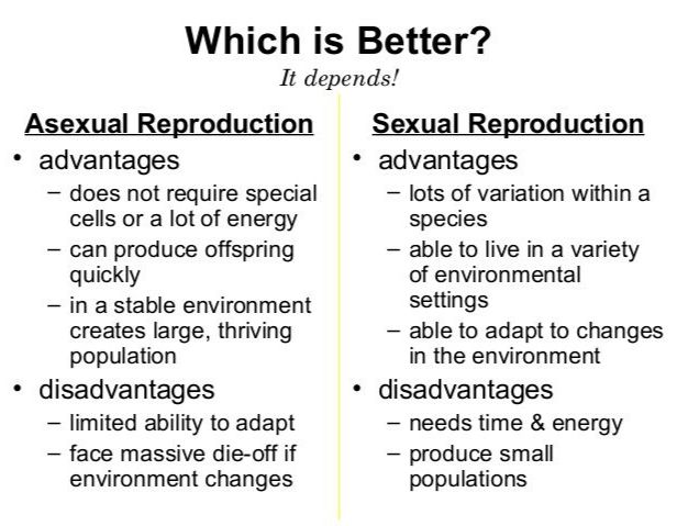 Asexual vs Sexual reproduction | Genially