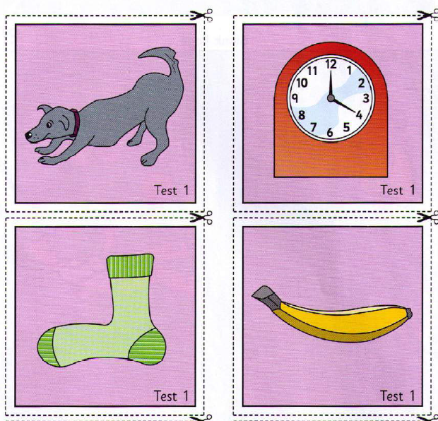 STARTERS SPEAKING | Genially