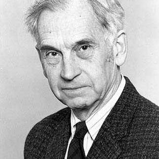 EVOLUTION PROCESS | Genially