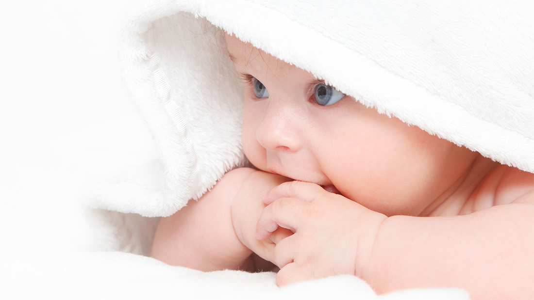 Lamina Desarrollo Embrionario Humano | Genially