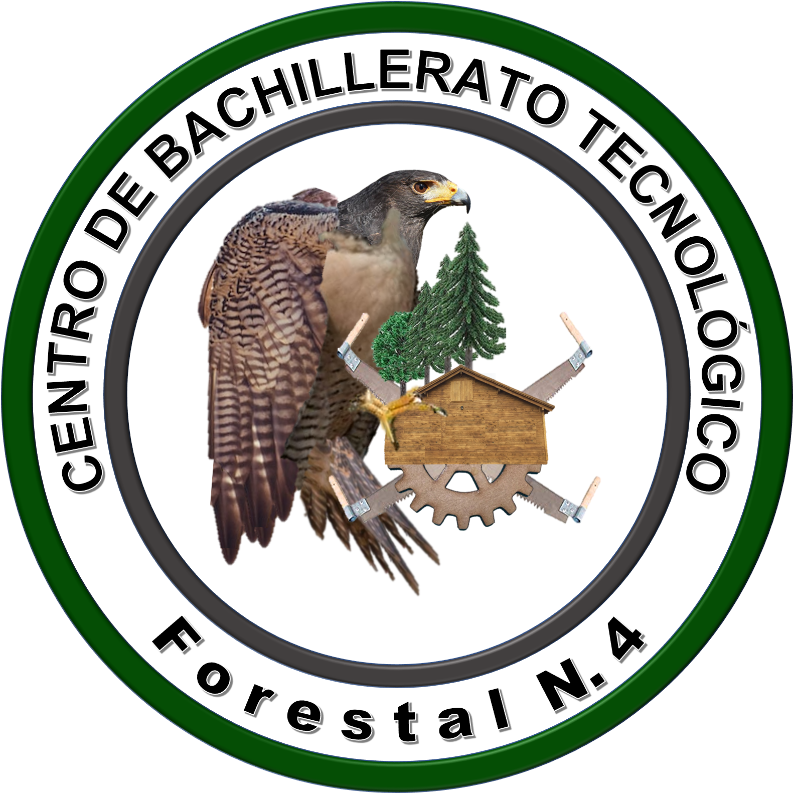 Forma de Trabajo Módulo II B23 | Genially