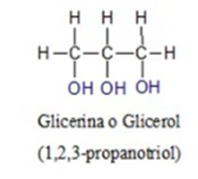 Infografía alcoholes | Genially