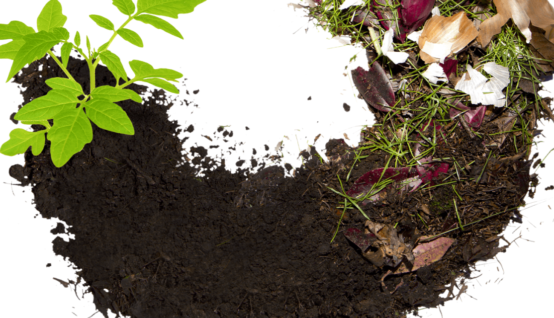 Materia Orgánica | Genially