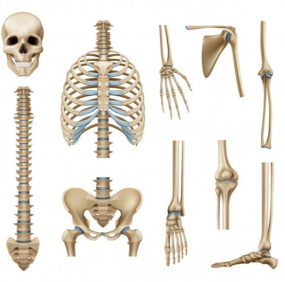 Relacionando palabras | Genially