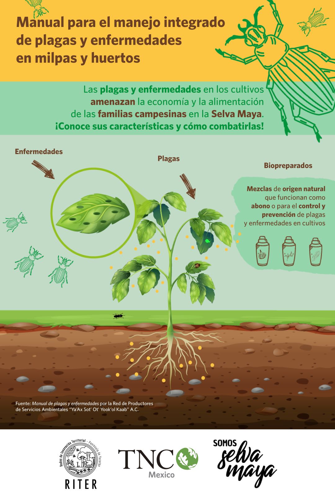 RITER Manual para el manejo de plagas y enfermedades
