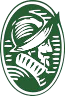 I can take care of my senses | Genially