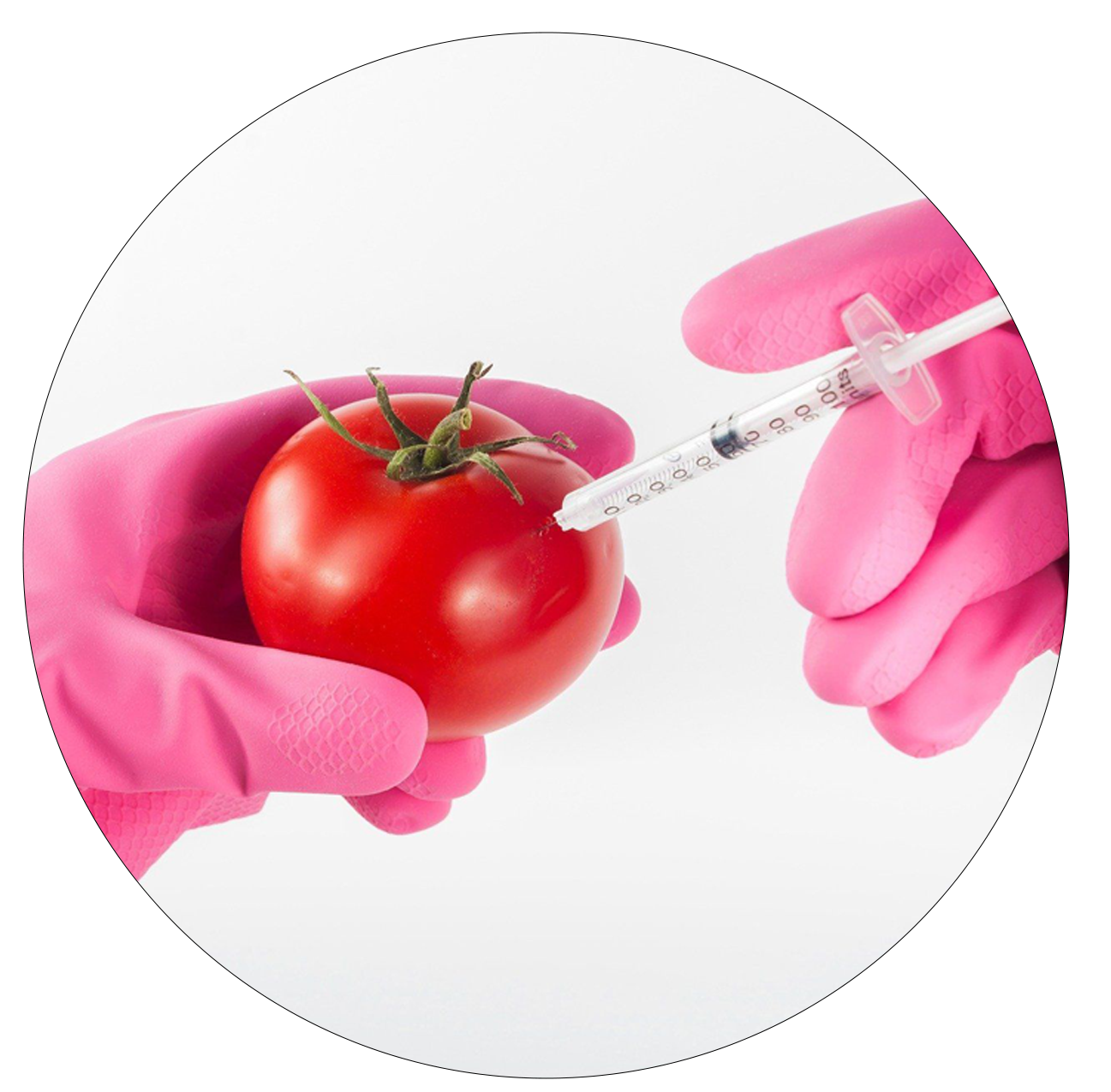 EA2 - Problematica de los OGM | Genially