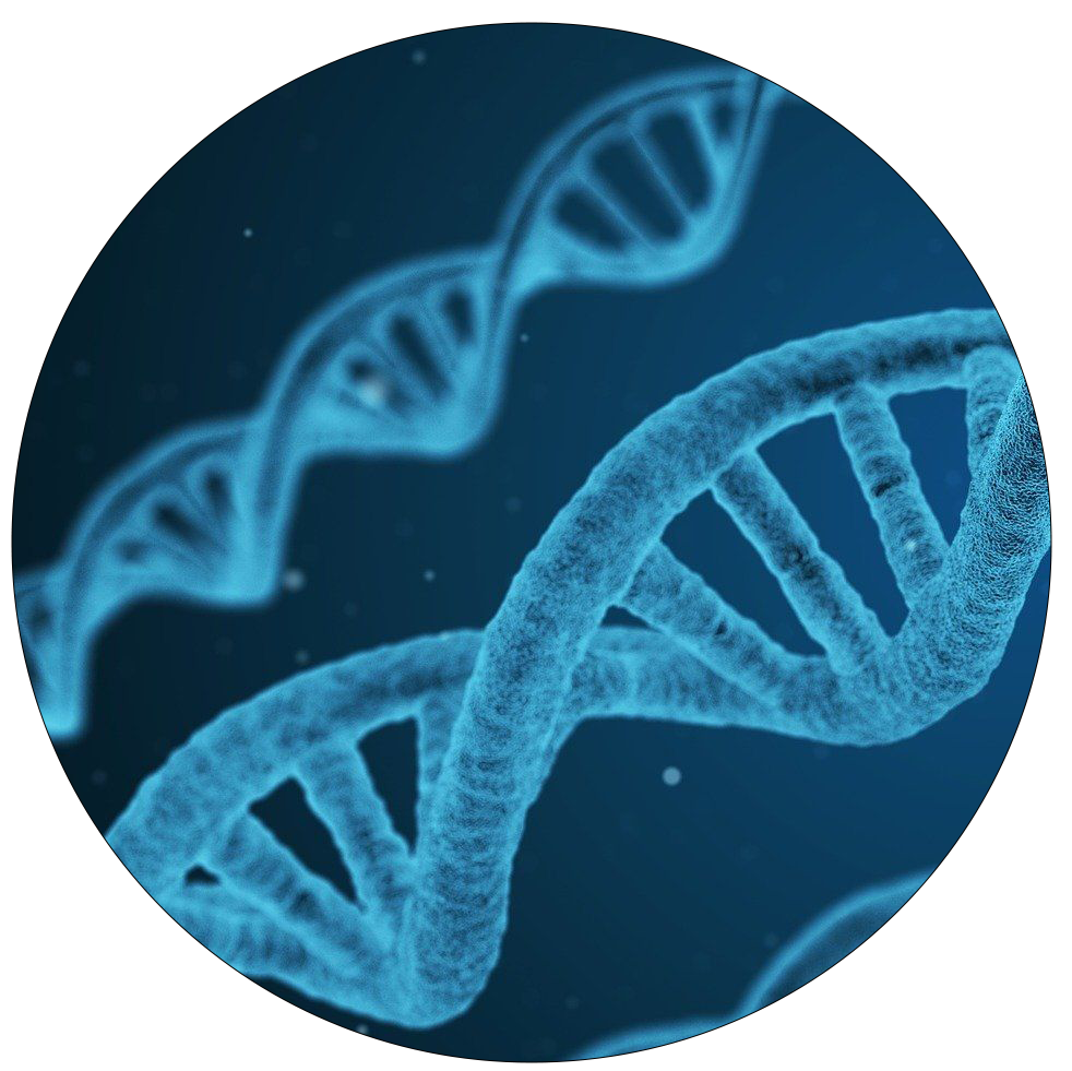 EA2 - Problematica de los OGM | Genially