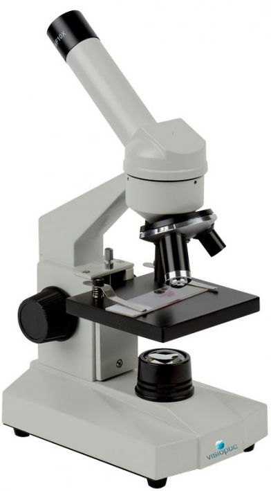 Révision SVT collège 3e | Genially