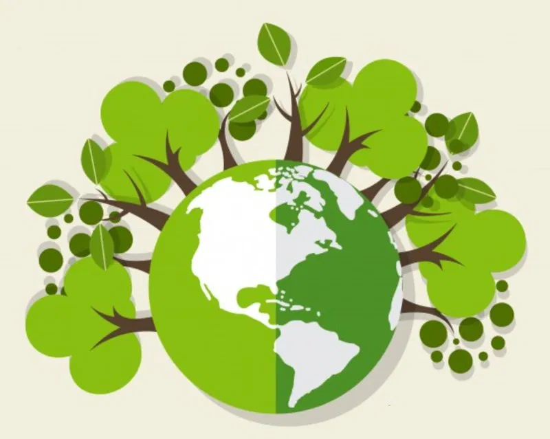 BASIC PRESENTATION | Genially