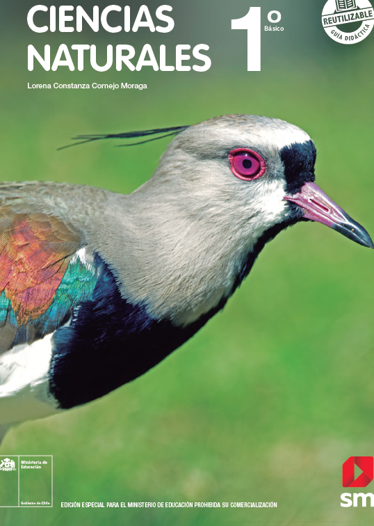 UNIDAD 5: PARTE 5 | Genially