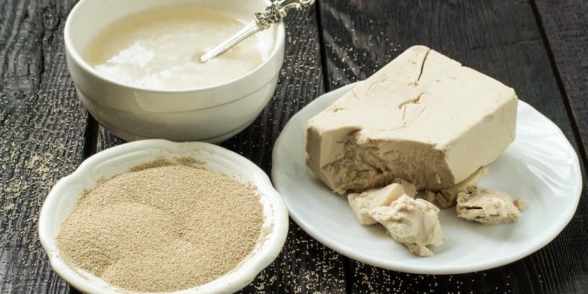 Ingeniería en hongos y levaduras | Genially