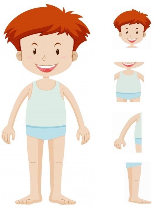 Het lichaam | Genially