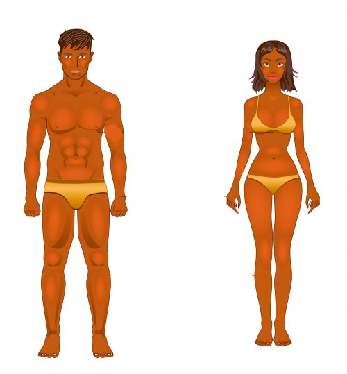 HUMAN BODY | Genially