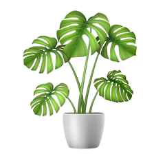 SVT - MES COURS | Genially