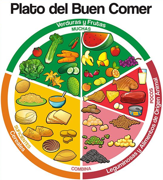 5 PASOS PARA EL CUIDADO DE LA SALUD EN NIÑOS Y NIÑAS | Genially