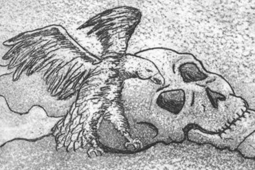 Operation Condor | Genially