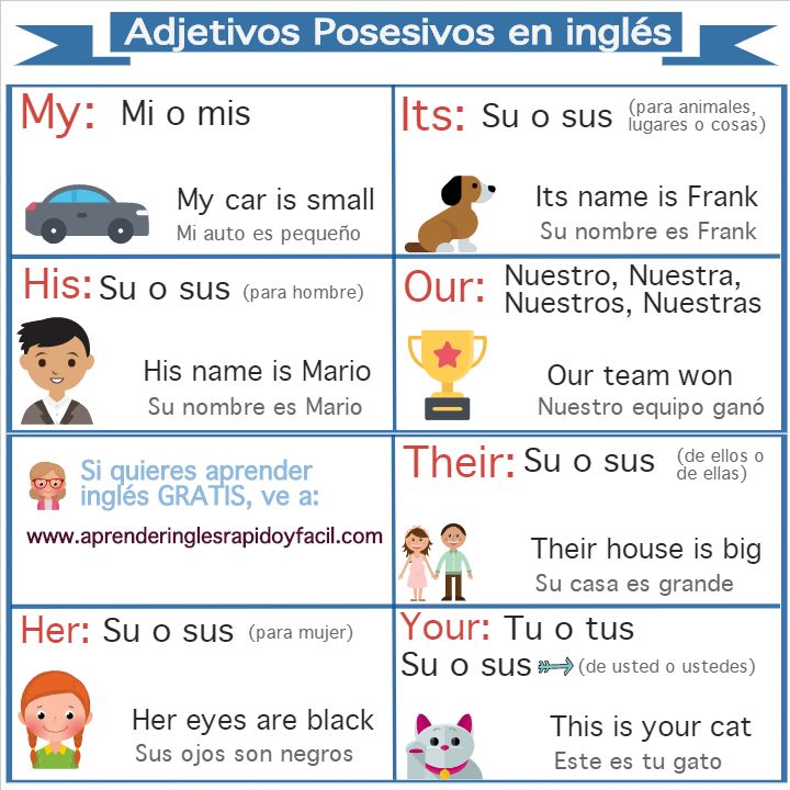 adjetivos posesivos | Genially