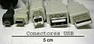 cuadro informativo de los diferentes tipos de buses | Genially