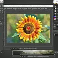 GIMP-DasProgramm | Genially