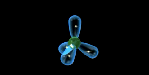 EL Carbono | Genially