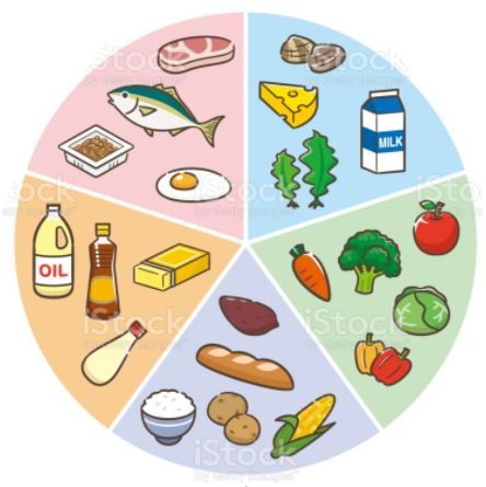 TYPES OF FOOD JUAN CAMILO | Genially