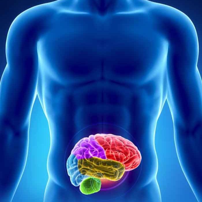 Las Emociones Y El Aparato Digestivo Genially