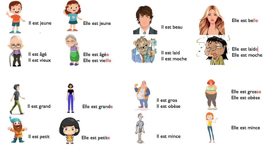 Décrire une personne physiquement | Genially