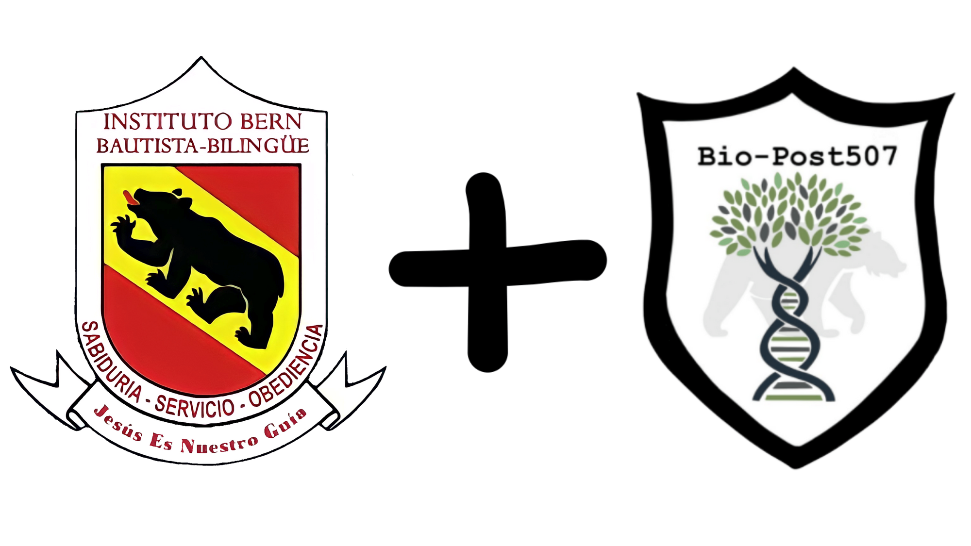 FASES DE LA EMBRIOGÉNESIS by Kayris Díaz | Genially