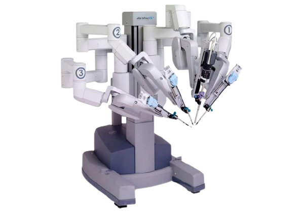 Efectores terminales | Genially