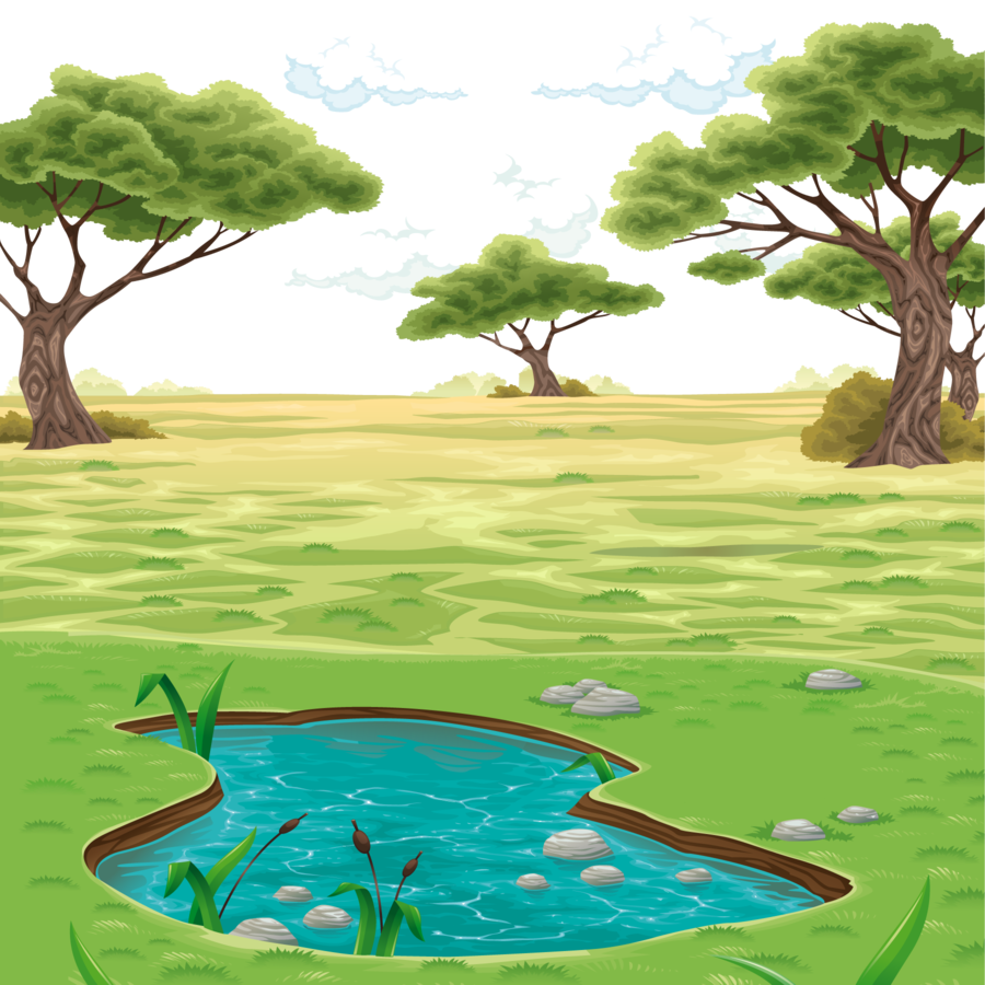 3º Nature | Genially