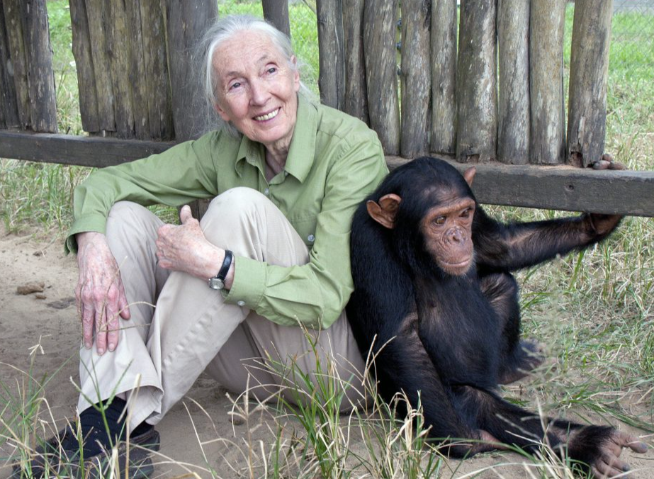 Elisa Navarrete Artime M2 Act.1 | Genially