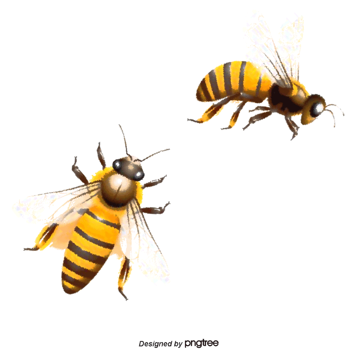 POLLINATION | Genially