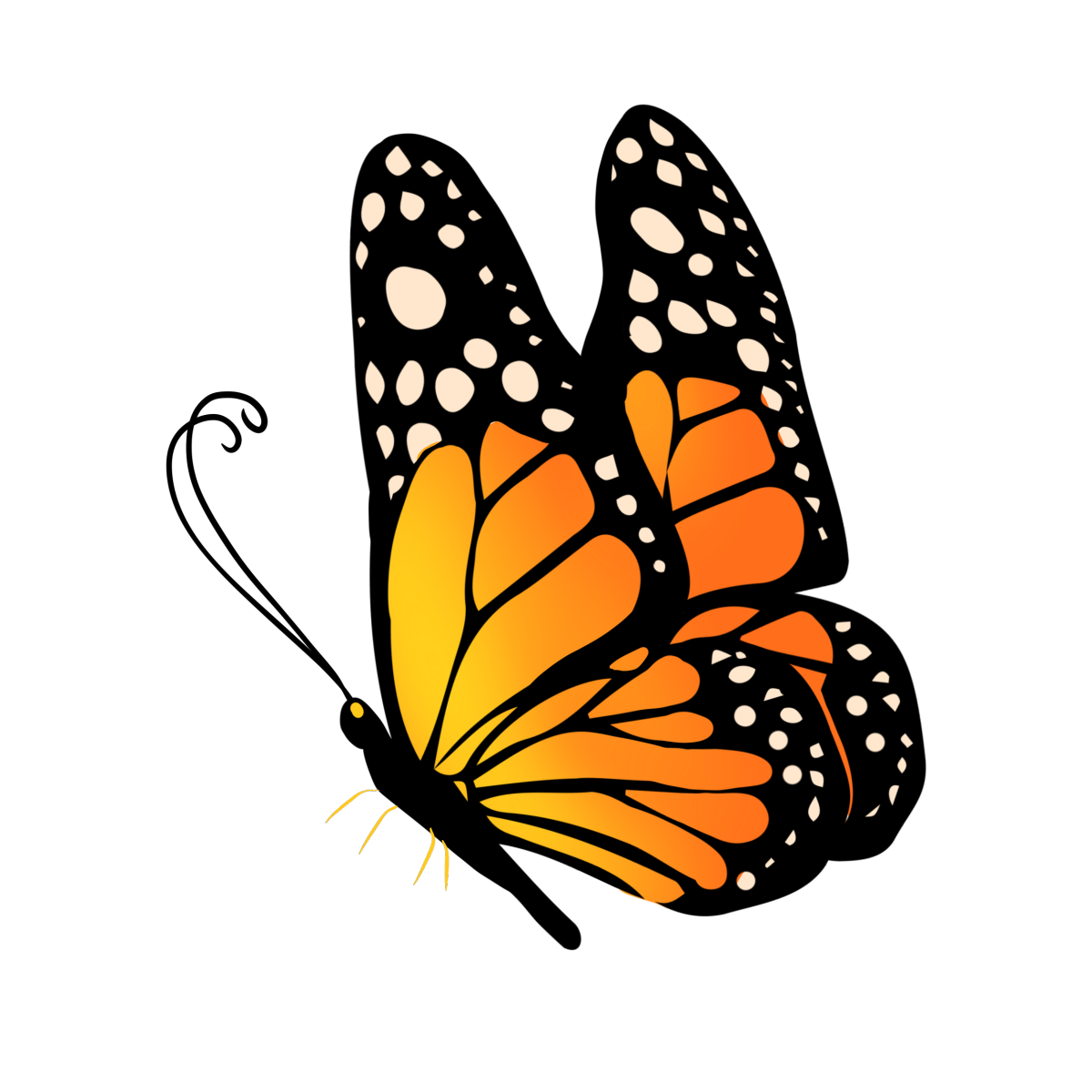 POLLINATION | Genially