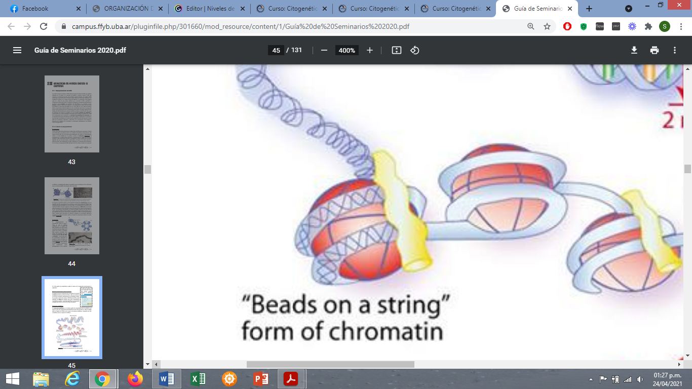 Niveles de compactación del ADN | Genially