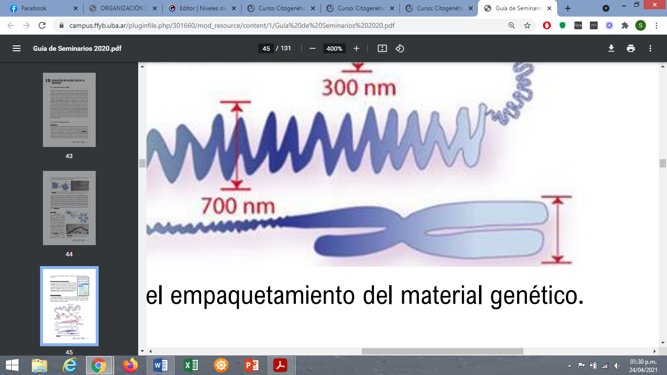 Niveles de compactación del ADN | Genially