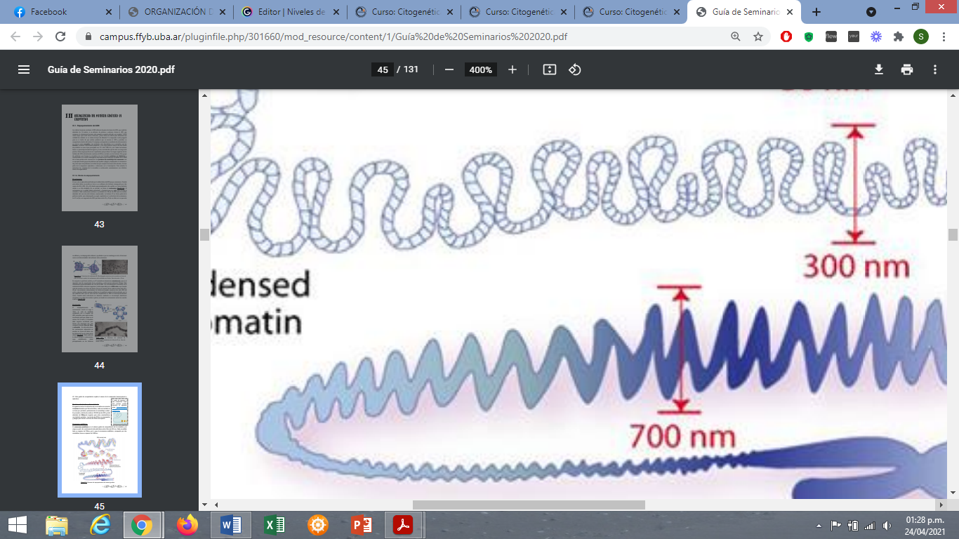 Niveles de compactación del ADN | Genially