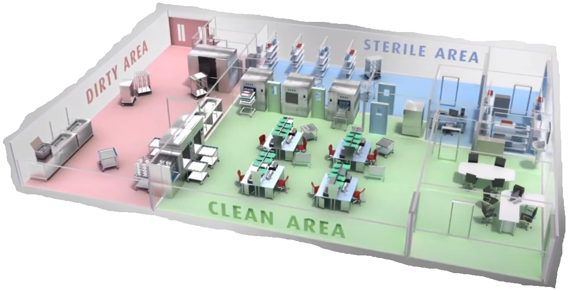 Diana Omaña - CEyE y el proceso de esterilización | Genially