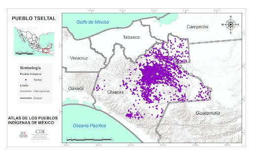 Infografia Tzeltales | Genially