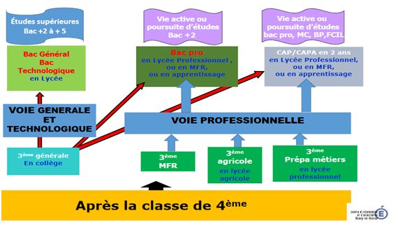 Après la 4e | Genially