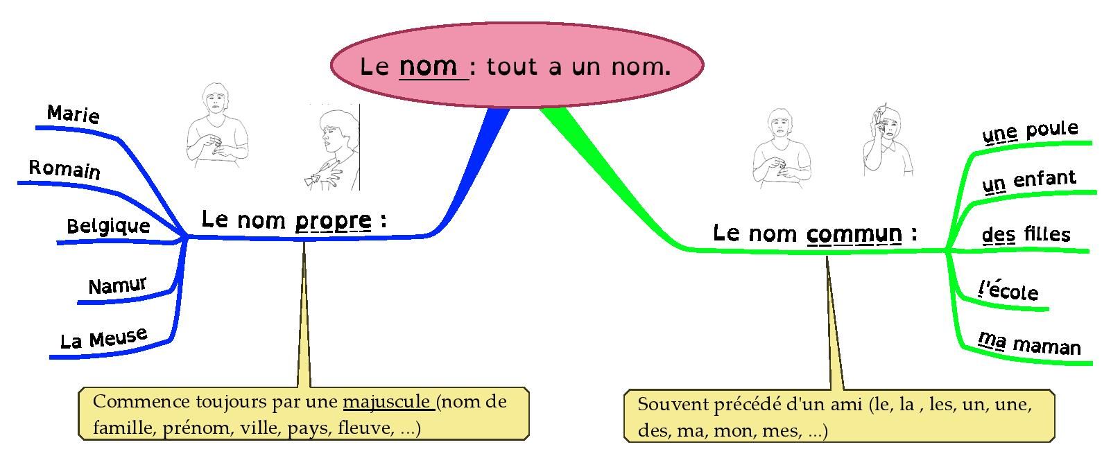 Le nom : leçon interactive | Genially