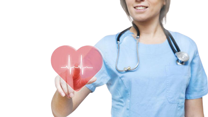 Infografía Cardiovascular. | Genially