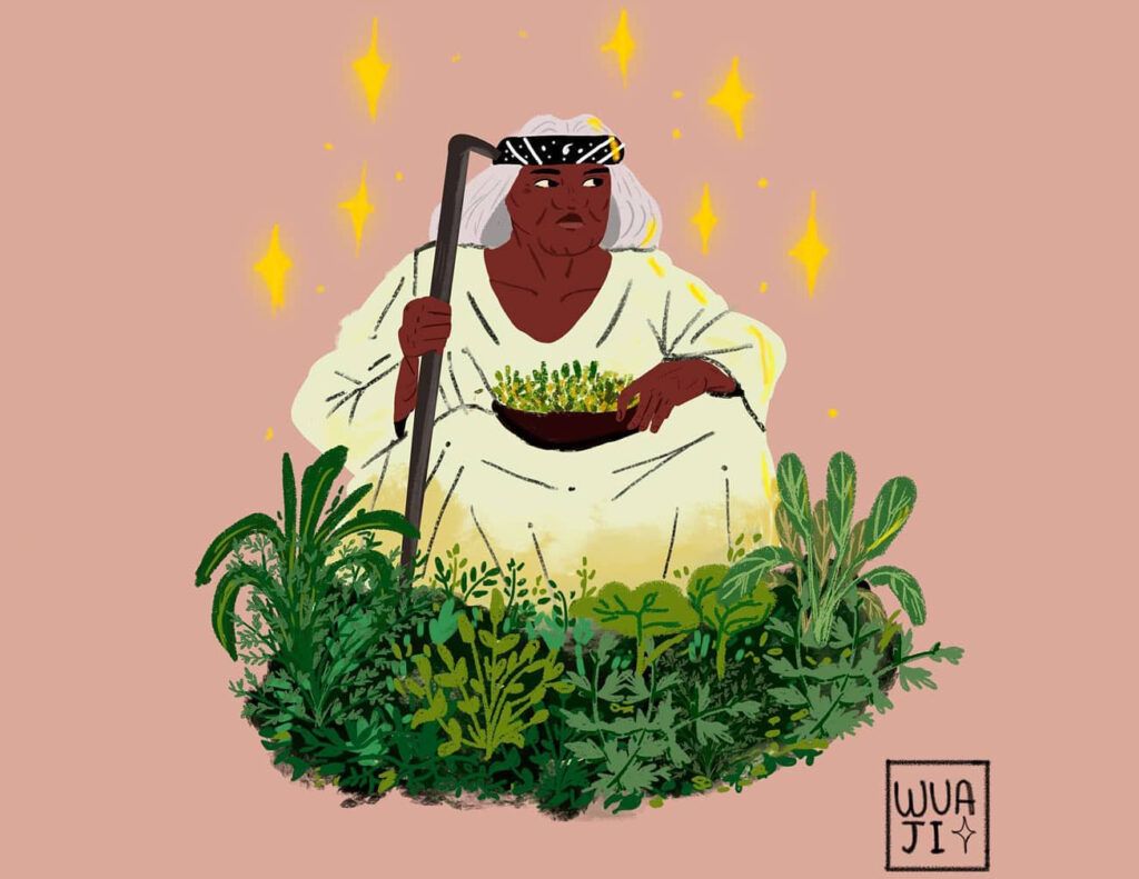 INFOGRAFÍA MEDICINA ANCESTRAL | Genially