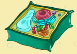 INFO VERTICAL CÉLULAS | Genially