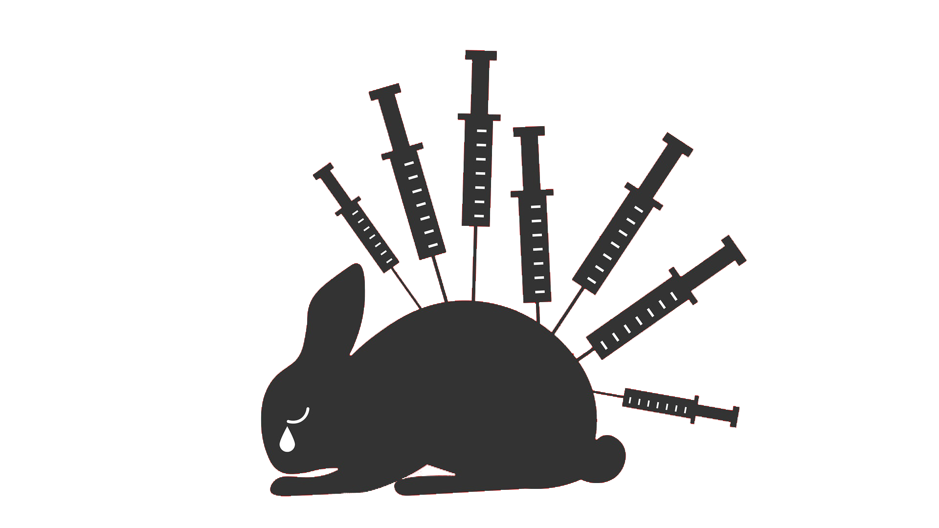 Datos del testeo animal | Genially