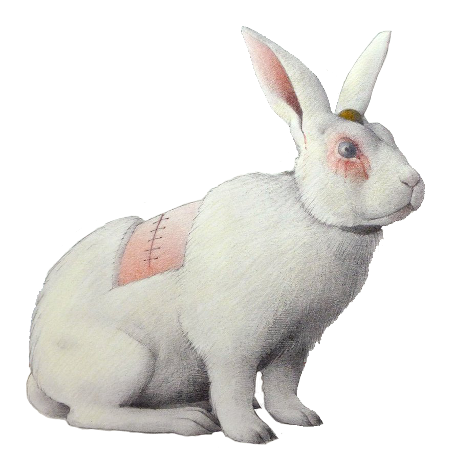 Datos del testeo animal | Genially